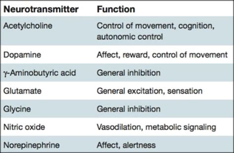 Physio 2 Membrane Action Potential And Synaptic Transmission