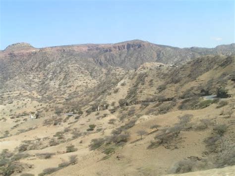 Eritrea Breaking News Shooting In Adi Keyh 2 Dead