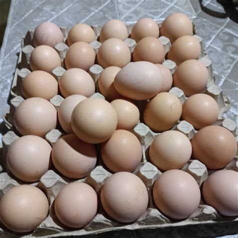 Fertile Organic Egg Food And Drinks Local Eats On Carousell