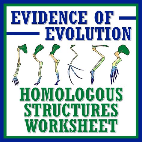 Evidence Of Evolution Homologous Structures Worksheet Flying Colors Science