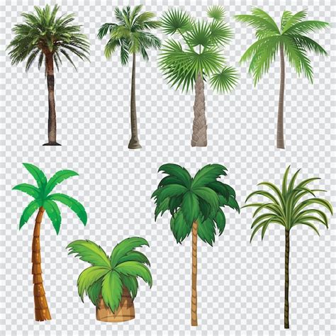Premium Vector Set Of Tree Vector Isolated