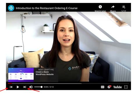 Displaying A Youtube Playlist On Your Wordpress Site
