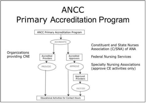 Npd Certification Prep Flashcards Quizlet