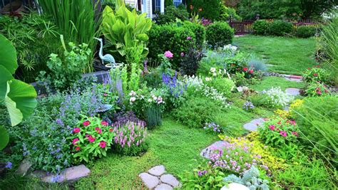 Low Maintenance Ground Cover Grass 10 Easy Care Groundcovers For Tough