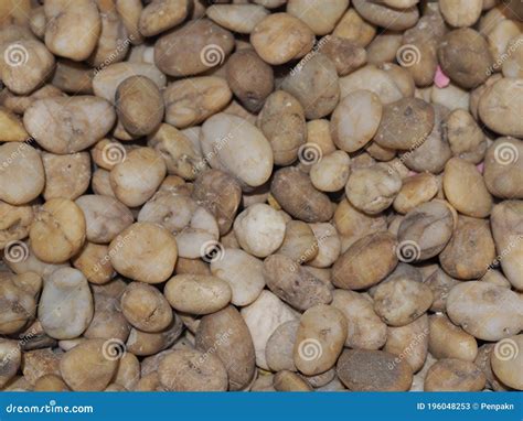 Background Of Small Pebbles Round Sea Stones Texture Rocks Material