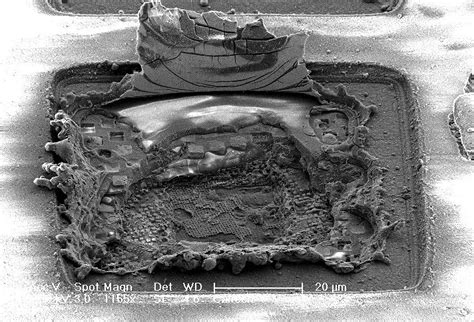 Caltech Engineers Develop Self Healing Circuits