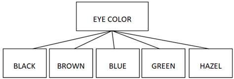 Data Mining Questions And Answers Data Objects And Attribute Types