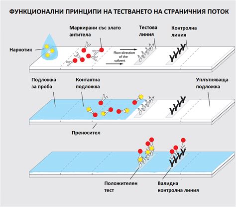 Как работят полевите тестове за наркотици — Alcotester.bg