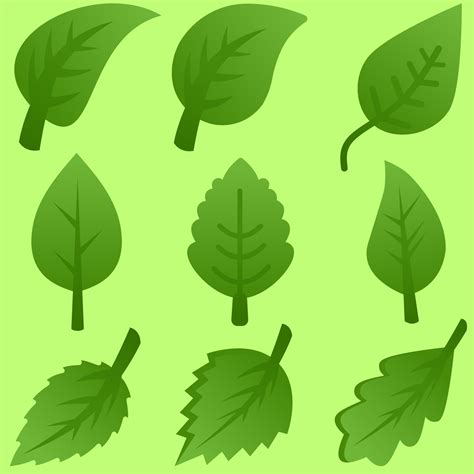 Leaf Vector Illustration Green Leaf Icon For Design Element Set Of