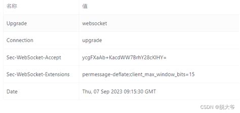 Springboot整合websocketspring Boot Websocket 接收端设置的read缓存太小了 Csdn博客