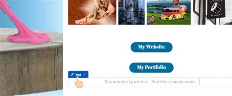 Trouble With Disappearing Portfolio Text Box Adobe Community 12748223