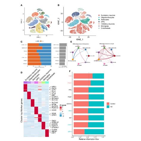 Identification Of Distinct Cell Clusters On The Basis Of Snrna Seq Download Scientific Diagram