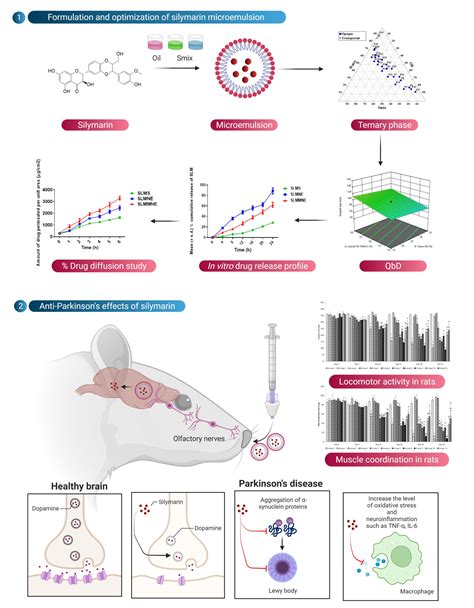 Intranasal Delivery Of A Silymarin Loaded Microemulsion For The Effective Treatment Of Parkinson