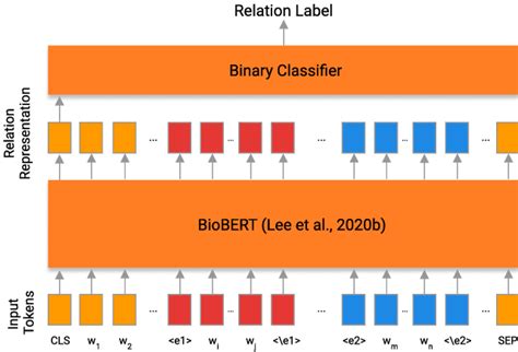 An Example Of Preprocessing The Raw Sentence Contains Two Chemicals