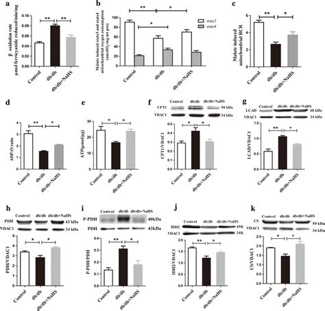 effect of exogenous h2s on mitochondrial energy metabolic enzymes in