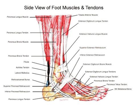 Pin On Custom Made Orthotics