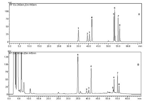 Hplc Chromatogram After Derivatization With Opa Of A A Ba Standard