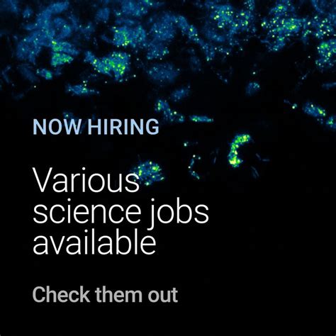 Mark Gorrell On Linkedin Have A Look One Of These Is A Postdoc Position In My Team On Liver…