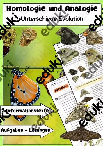 Homologie Und Analogie Evolution Merkmale And Vergleich