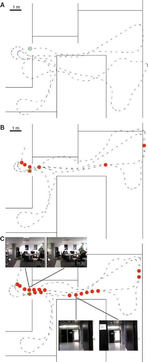 Gostai Sequence Example Of Topometric Mapping Results A Raw Download Scientific Diagram