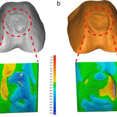 comparing the results of a traditional calibration and b fast tcp download scientific