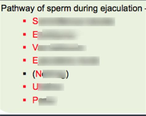 pathway of sperm during ejaculation diagram quizlet