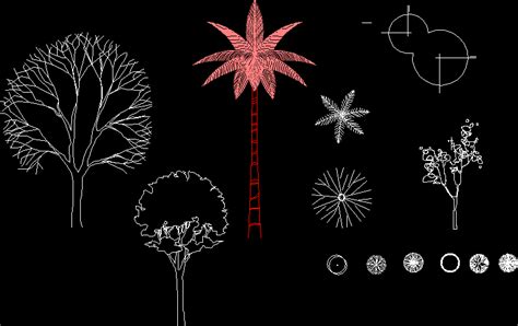 Trees 2D DWG Block For AutoCAD Designs CAD