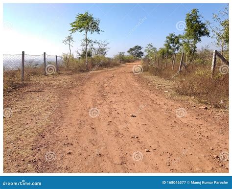 Unconstrained Road Blue Sky Green Tree  Stock Image Image Of Tree