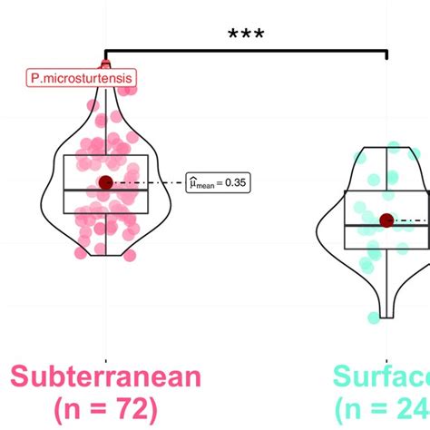 Violin Plot Of The Pairwise Welchs T Test Results Of Body Length Download Scientific Diagram