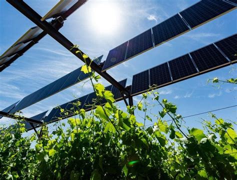 Ai Driven Agrivoltaic Project Development Nuwatt Energy