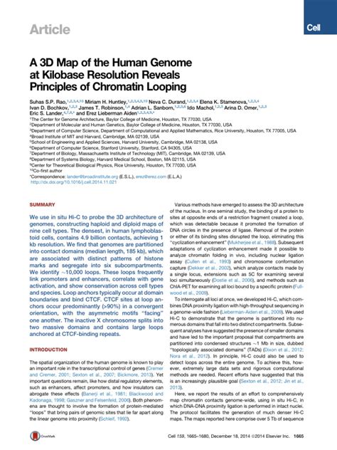 A 3d Map Of The Human Genome Pdf Molecular Biology Genetics