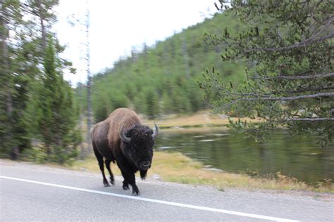 Exciting Extras — Lucas March Strader