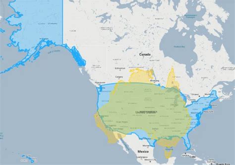 Australia Vs Usa Size Comparison How Big Is Australia Compared To The