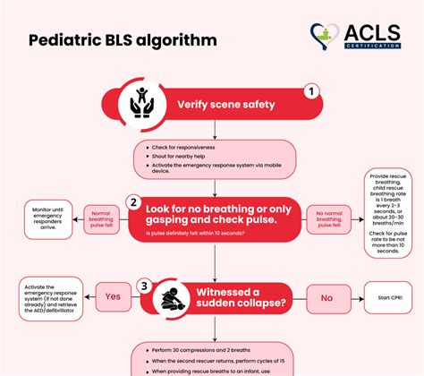 Adult Bls Algorithm Aclsnow Adult Bls Algorithm Aclsnow