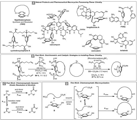 Biocatalytic Synthesis Of Planar Chiral Macrocycles Science