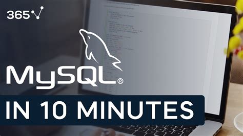 MySQL IN MINUTES Introduction To Databases SQL MySQL QuadExcel Com