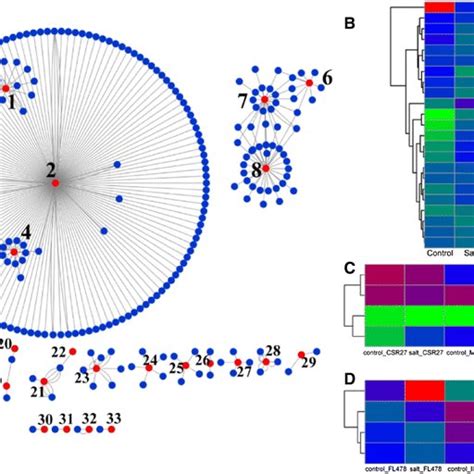 Salt Tolerance Protein Interaction Cytoscape Network And Some Gene