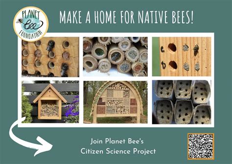 Blane Maxwell On Linkedin Virtual Stem Distance Learning — Planet Bee Foundation