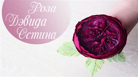 Английская роза из гофрированной бумаги | Мастер-класс! Роза Дэвида ...