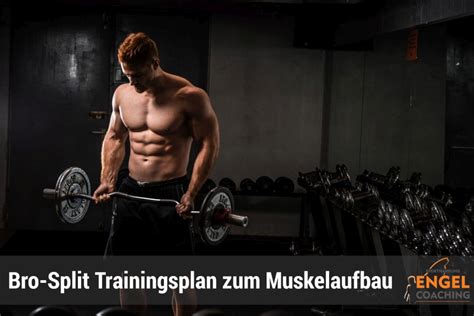 Bro Split Workout Plan Das Sagt Die Wissenschaft