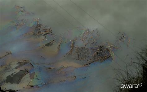 Росія завдала збитків довкіллю України на 2 2 трильйона гривень — Міндовкілля Читайте на Ukr Net