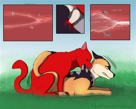 Rule 34 Feral Feral On Feral Firestar Warriors Furry Red Firestar