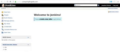 How To Configure Jenkins Freeipa Ldap Authentication Computingforgeeks
