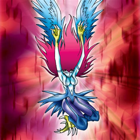 Harpie Master Duel Monster Type Festival King Of The Island