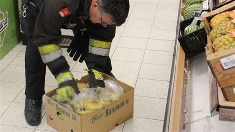 新聞 被咬到「恐勃起數小時」世界最毒蜘蛛現蹤！奧地利超市緊急停業 看板sex Ptt網頁版