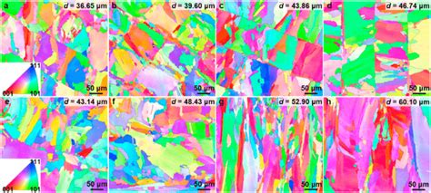 Ebsd Inverse Pole Figures Ipfs Of The As Slmed Cocrni 95 Mo 5 Download Scientific Diagram