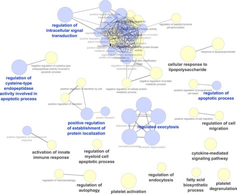Identification Of A Transcriptome Profile Associated With Improvement Of Organ Function In