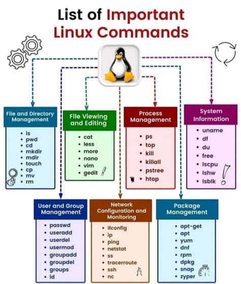 Abhishek Tripathi On Linkedin Popular Linux Commands