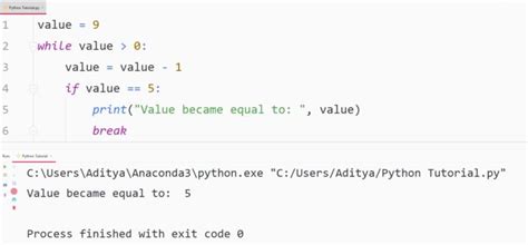 Python Break TutorialBrain