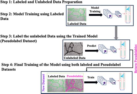 The Depiction Of Traditional Pseudo Labelling Operation Download Scientific Diagram